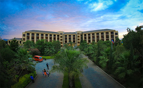 Haile and Alem International PLC